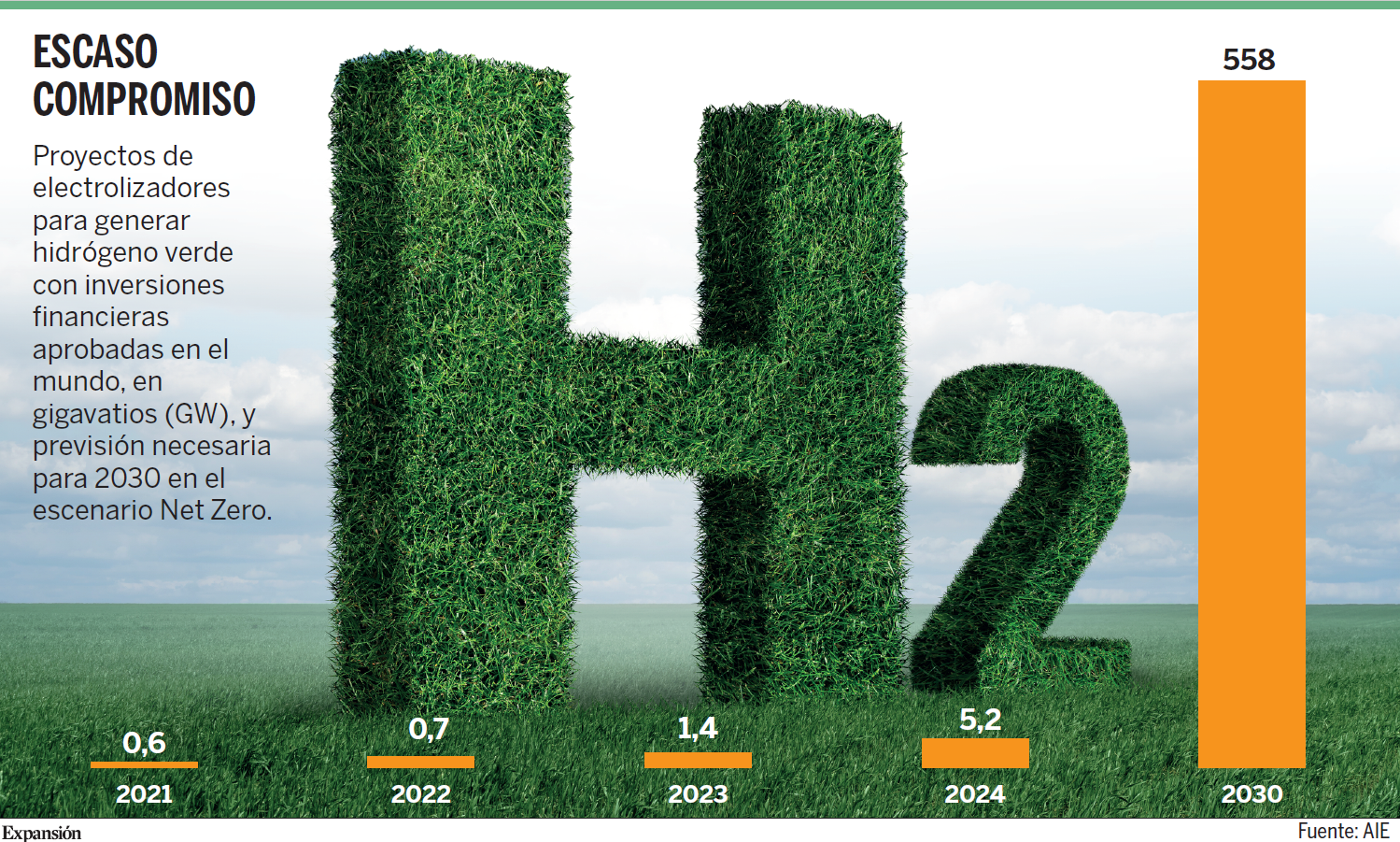 Hidrógeno verde: miles de millones en inversión pendientes de si ...